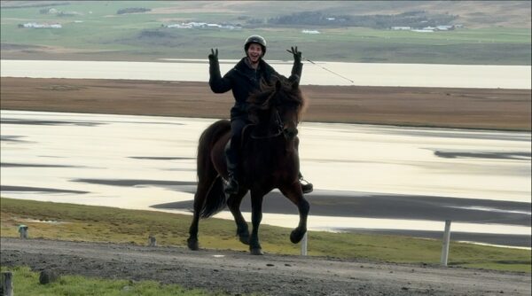 Arnar frá Brimnesi | TheHorseSeller